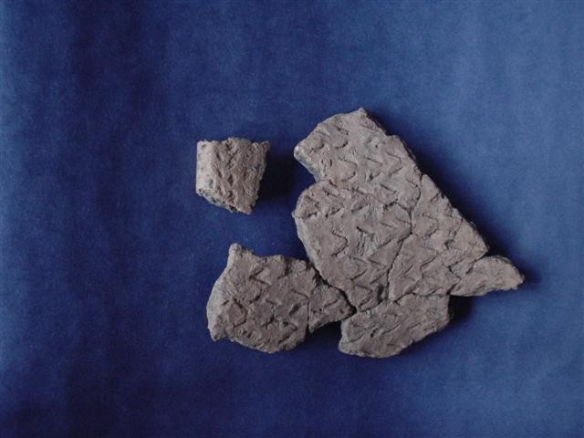 Neolithicum